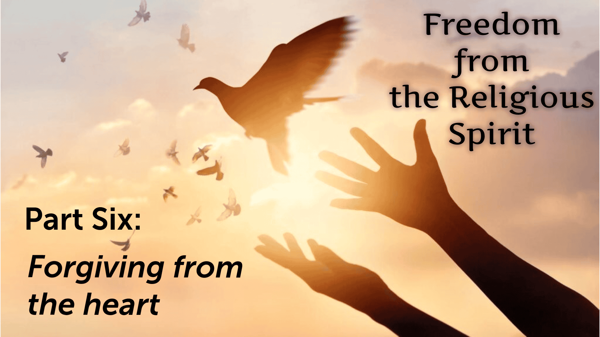 11/2/2024 – Freedom From The Religious Spirit – Part 6: Forgiving From ...